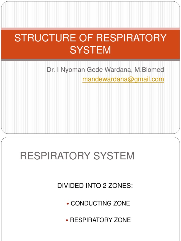Sistema Respiratorium Full Version | PDF | Human Nose | Larynx
