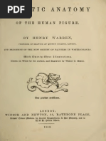Osteology of the Goat | PDF | Vertebra | Vertebral Column
