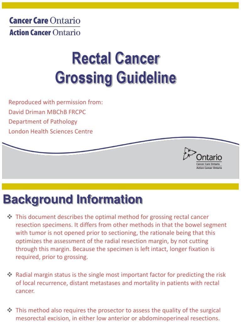 Rectal Cancer Grossing Guideline | Anatomical Terms Of Location ...