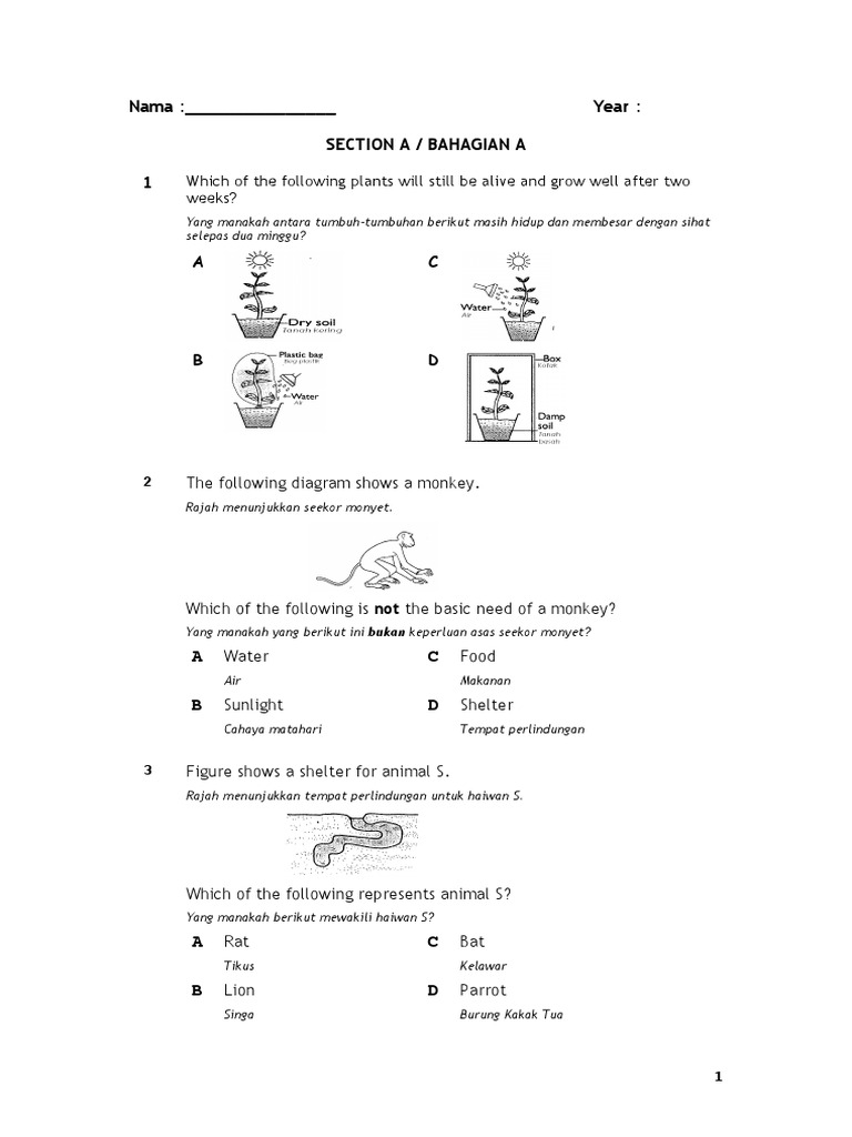 Soalan Sains Tahun 4 Pdf