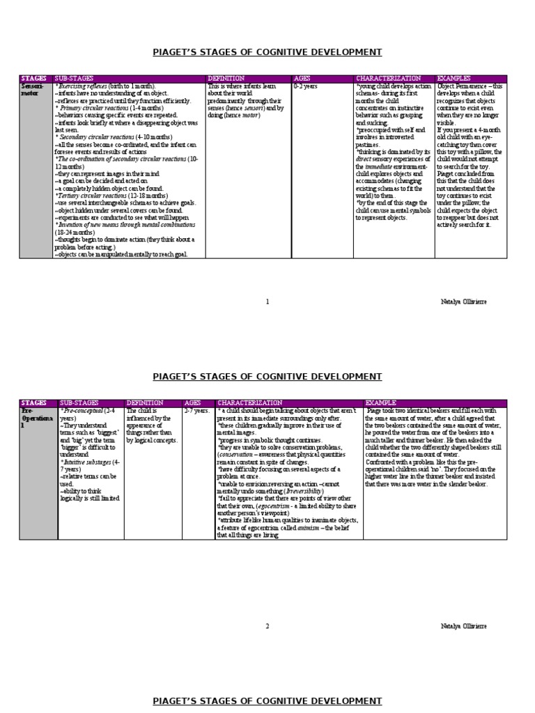 Piaget's Stages of Cognitive Development | PDF | Business