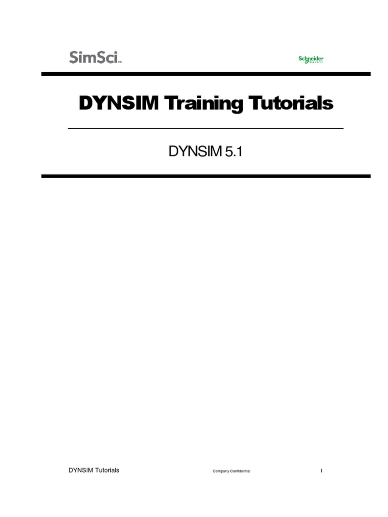 Dynsim Training Tutorials 1 4 Pdf Parameter Computer Programming