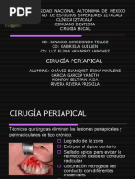 Tema 3. - Incisiones y Colgajos | PDF | Odontología | Biopsia