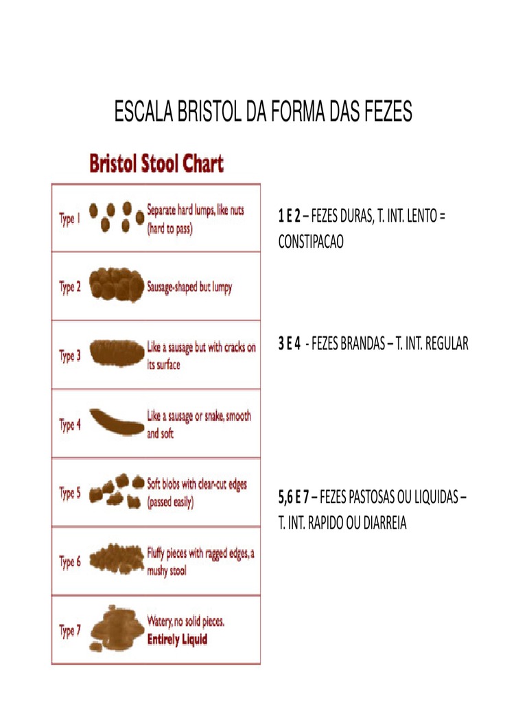 Escala Bristol das fezes e tipos de intestino | PDF