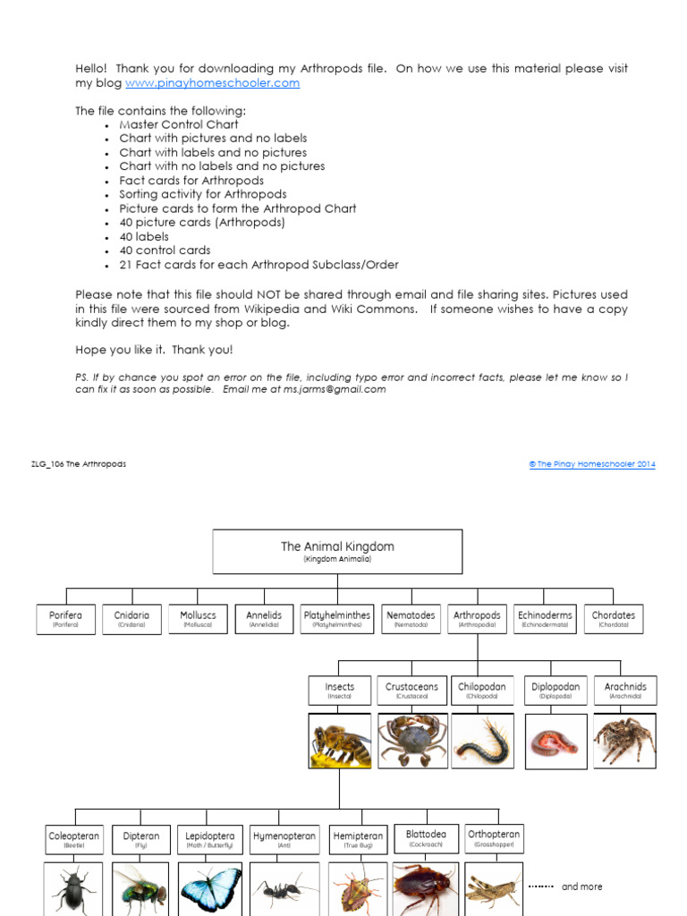 The Arthropods Learning Pack | PDF | Insects | Fly