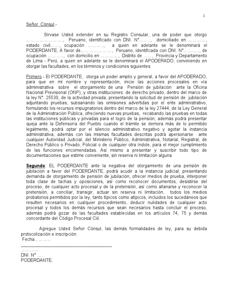 Minuta de Poder Consular | Descargar gratis PDF | Gobierno | Economía ...