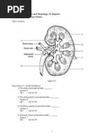 Lymphatic System MCQs | PDF | Lymphatic System | Immune System