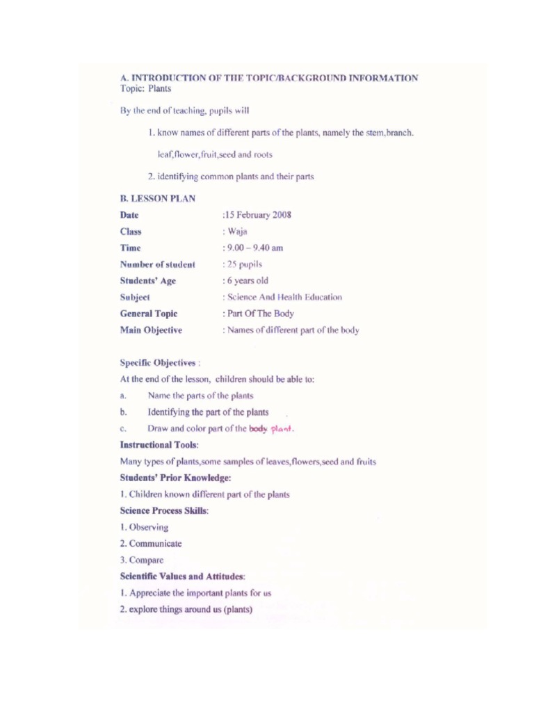 Preschool PPS211 Lesson Plan | PDF