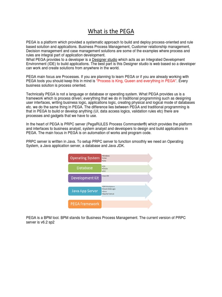 What is the PEGA | Business Process Management | Business Process