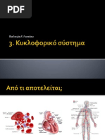 ΑΝΑΤΟΜΙΑ γ επαλ | PDF