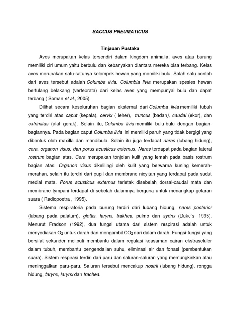 Saccus Pneumaticus | PDF