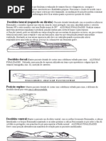 Tipos de Decúbitos e Posições em Enfermagem | PDF | Especialidades médicas