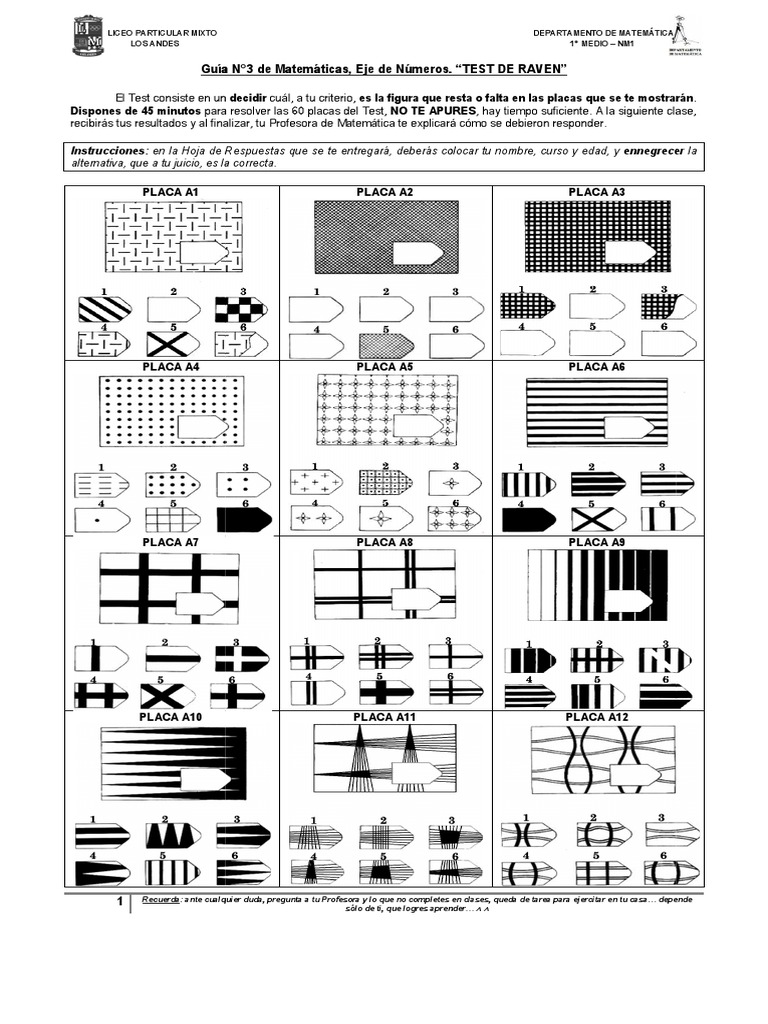 Guia 3 Test de Raven Placas