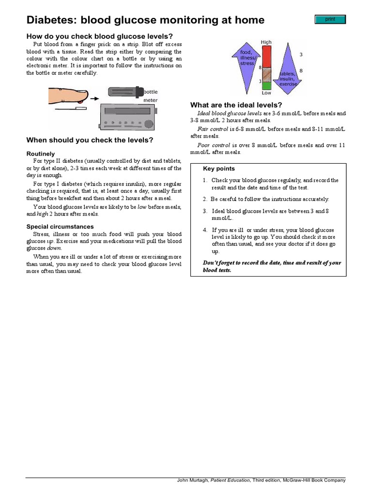 Blood Sugar Levels Monitoring Guide | PDF