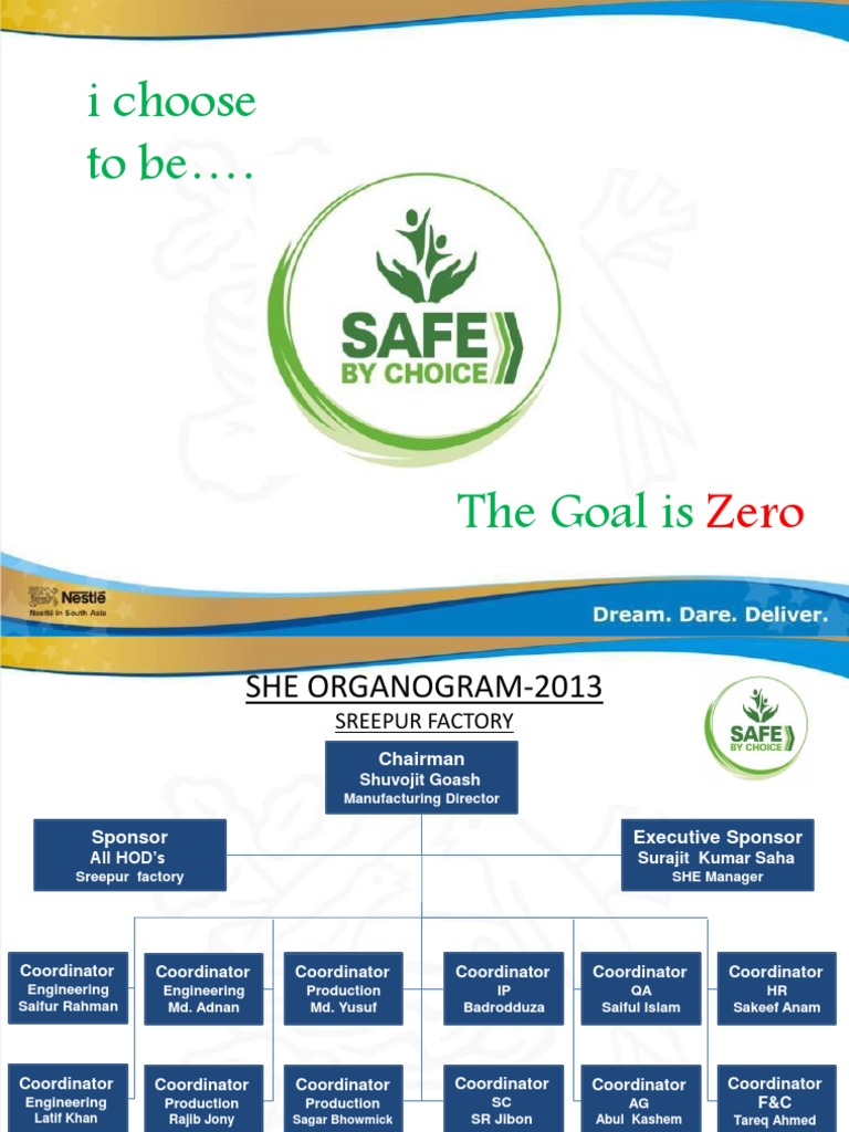 SHE Organogram 013 | PDF | Environment | Public Health