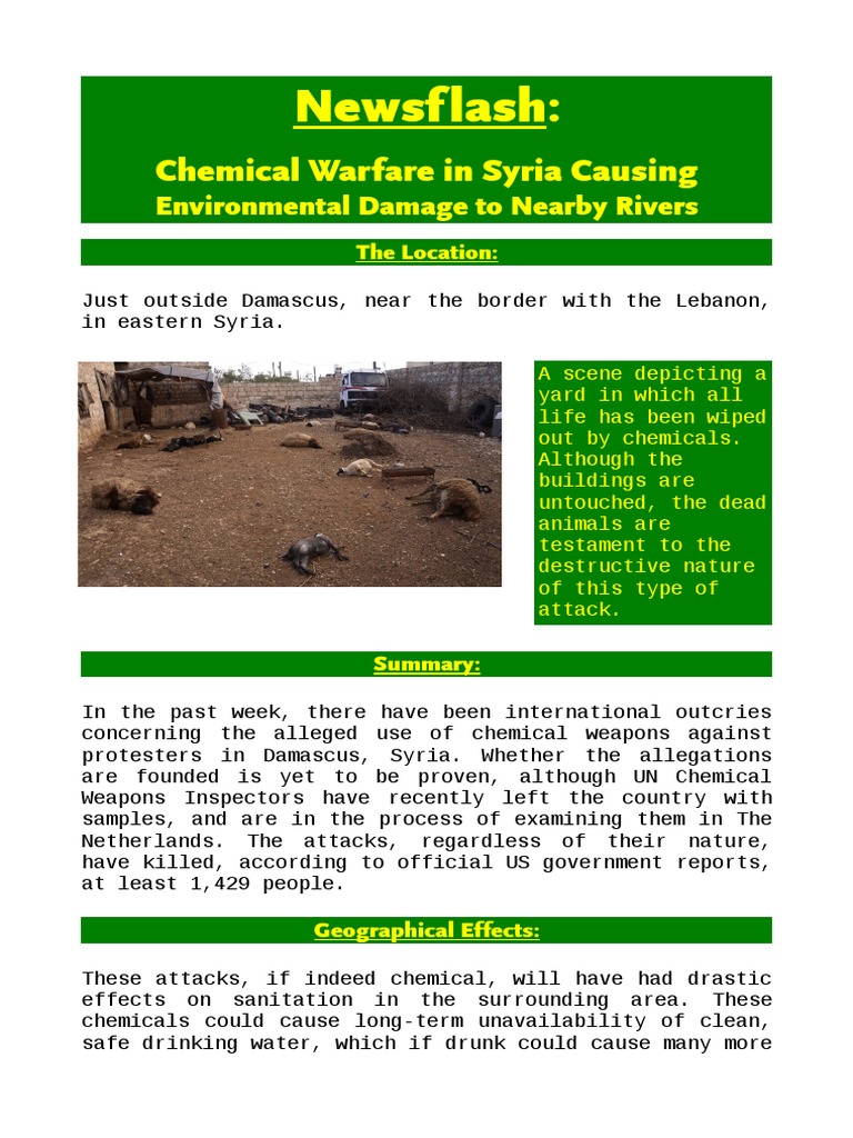 Geography Syria Poster | PDF