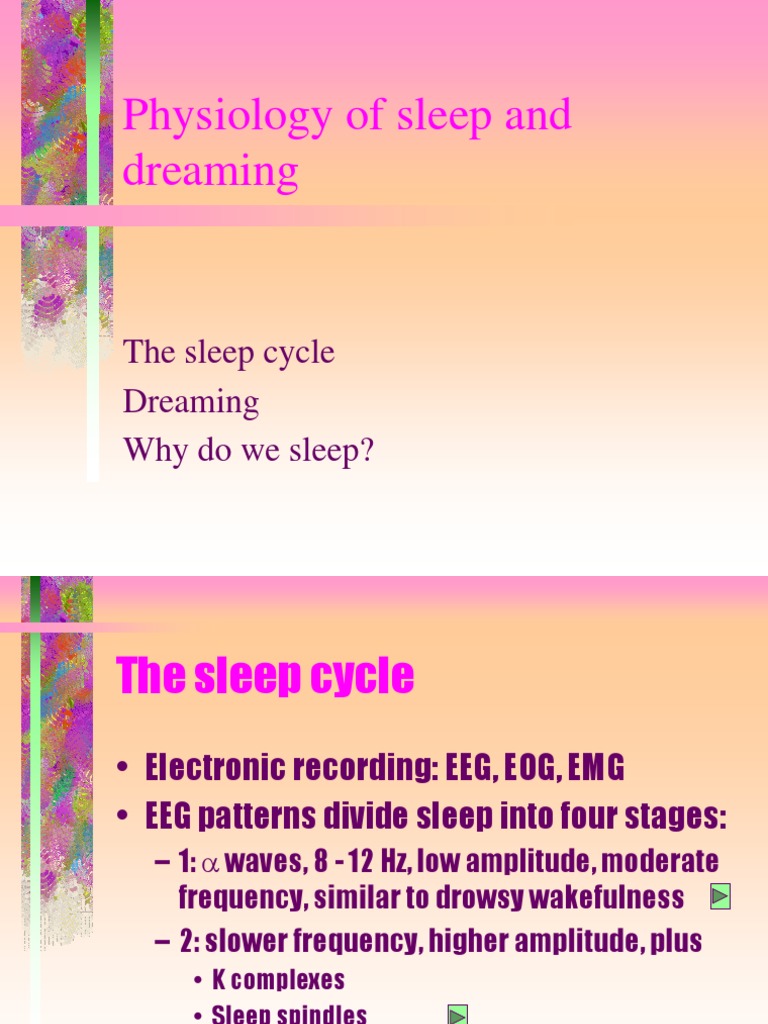 Physiology of Sleep | PDF | Sleep | Rapid Eye Movement Sleep