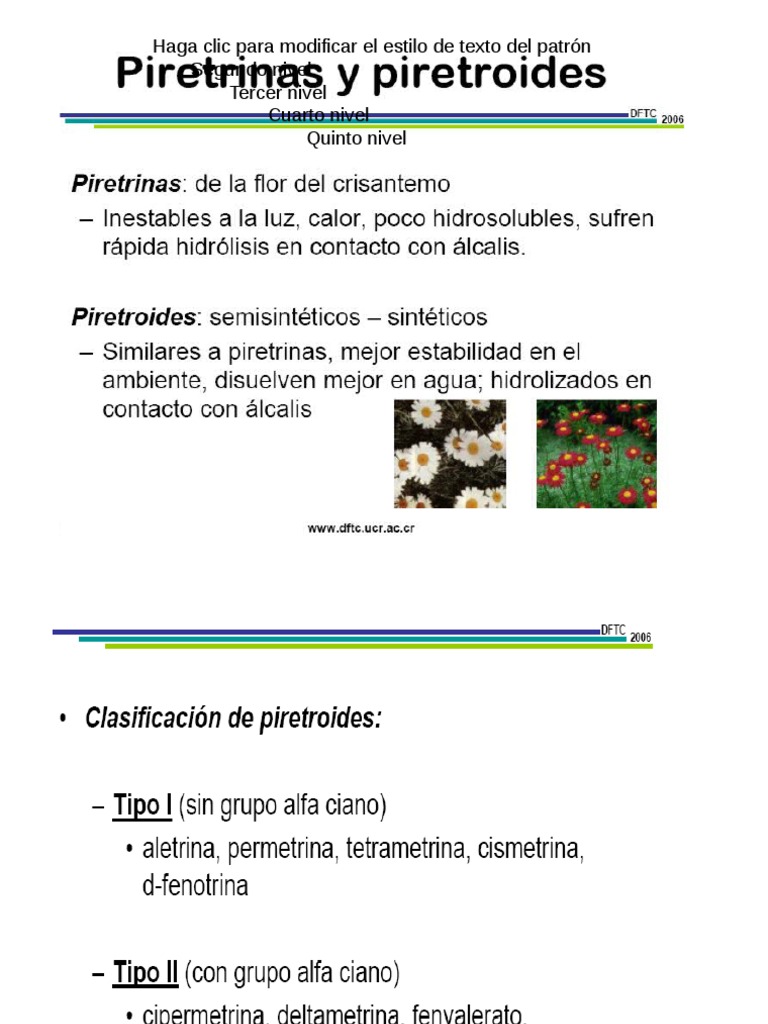 Piretrinas y Piretroides | PDF