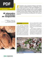 Tríptico Penta | PDF | Almendra | Flores