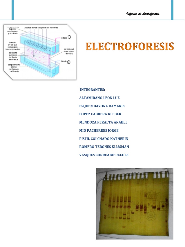 Informe de electroforesis de ADN | PDF | Electroforesis | Bioquímica