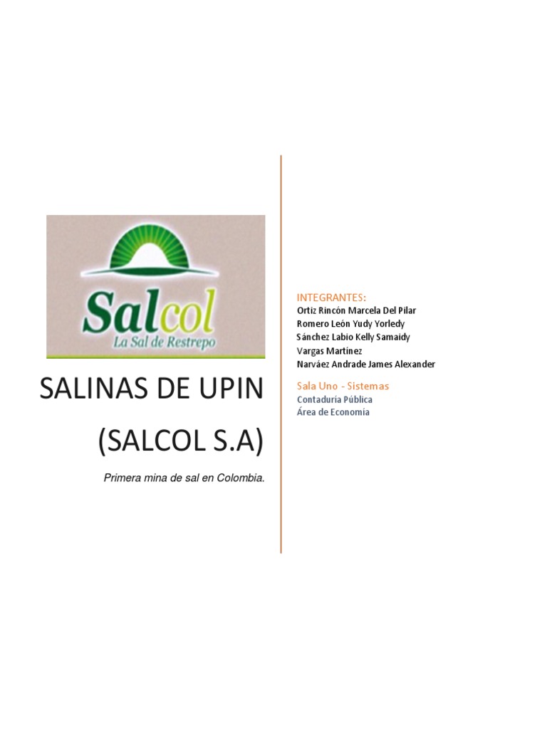 Historia y Economía de Salcol S.A | PDF | Mercado (economía) | sal