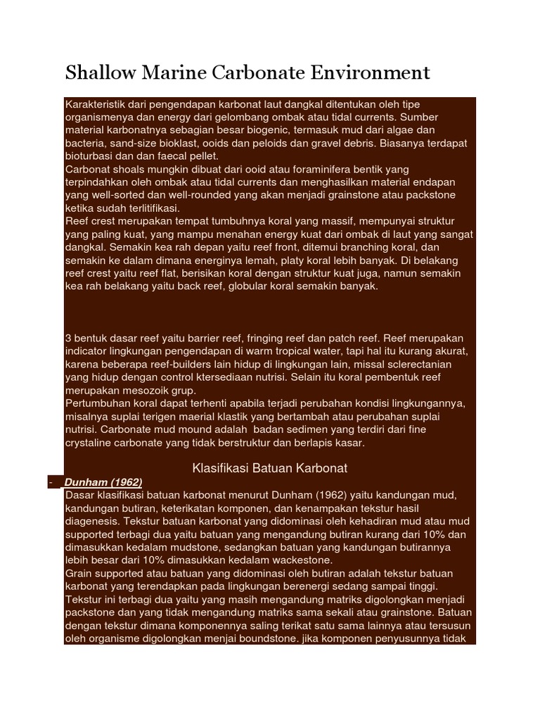 Shallow Marine | PDF