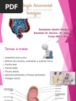 El Paciente Con Proctorragia Como Abordarlo | PDF | Hemorroides ...