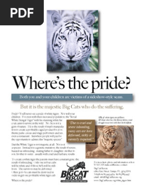 Deformed Tiger Kenny