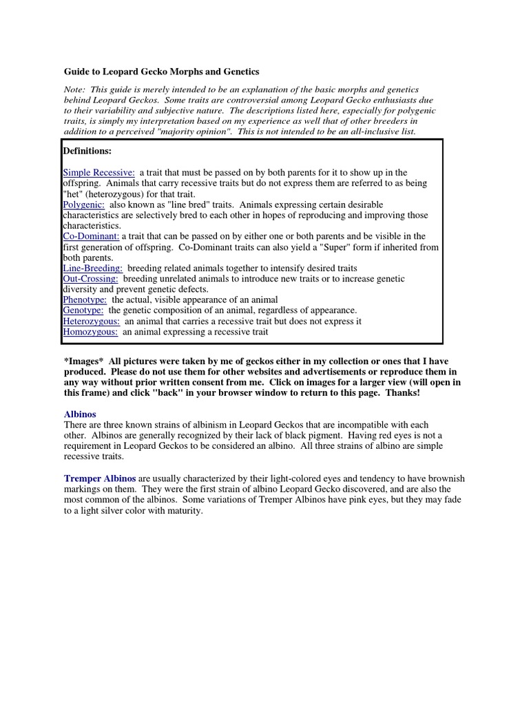 Guide To Leopard Gecko Morphs and Genetics | PDF | Polymorphism ...