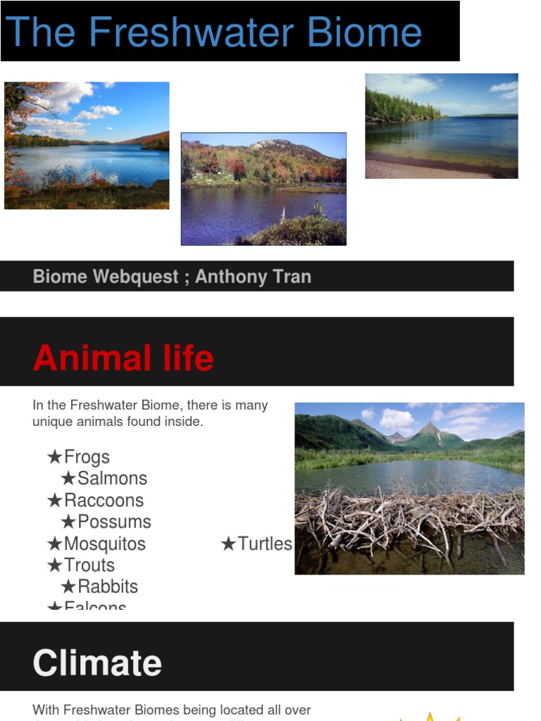 Freshwater Biome Overview and Features | PDF