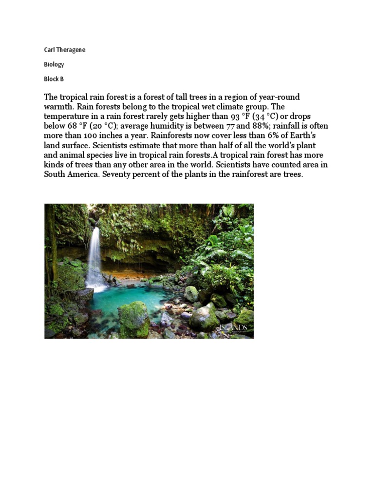 Rainforest Biomes | PDF | Home & Garden