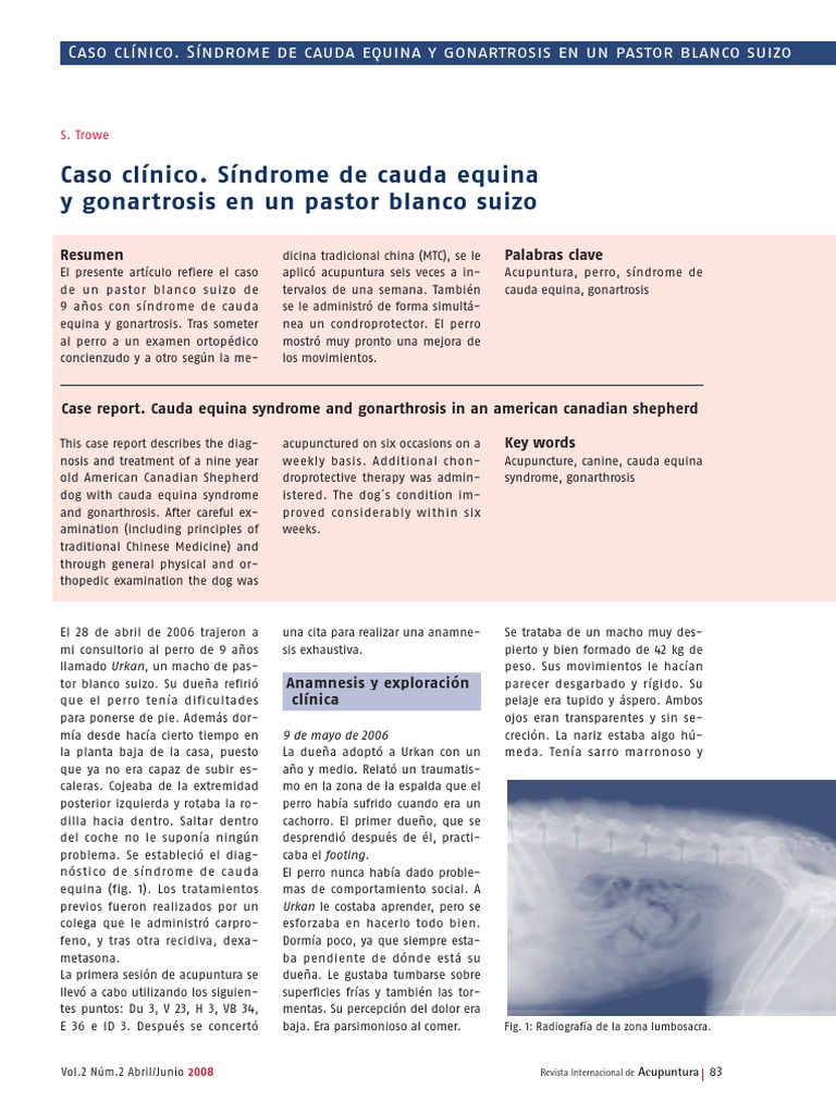 Cauda Equina | PDF | Sistema musculoesquelético | Anatomía humana
