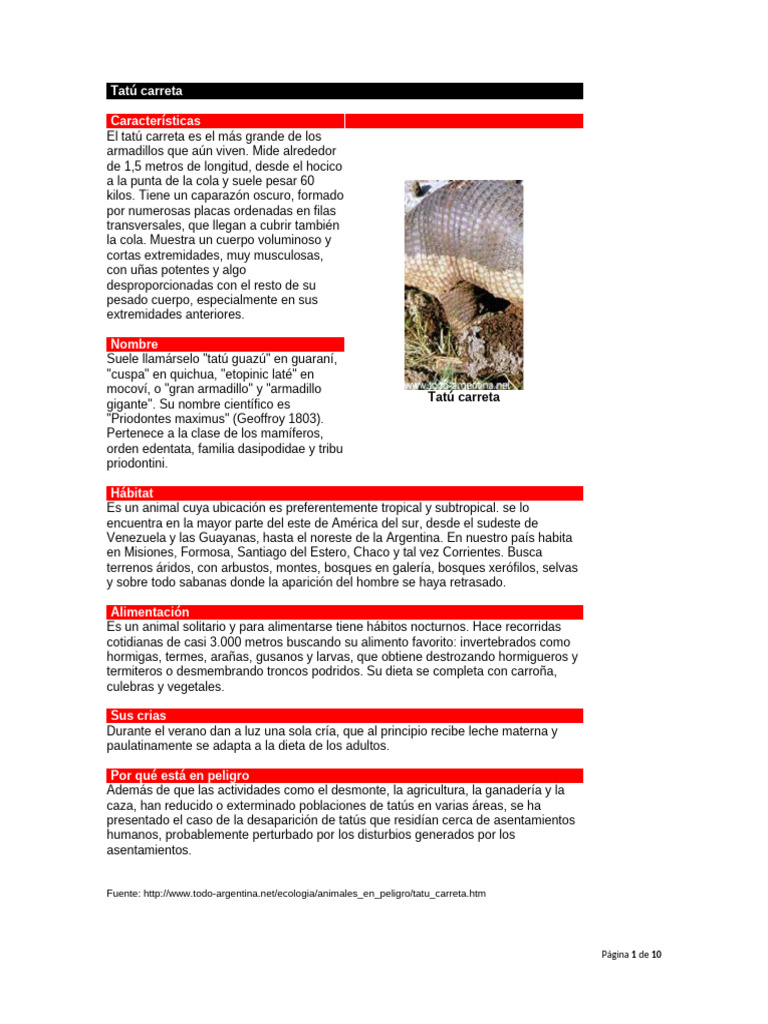 Información sobre el tatú carreta | PDF | Naturaleza