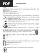 Vestiduras e Insignias Del Monaguillo | PDF | Historia | Religión y ...