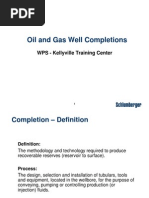 Oil & Gas Wells Life Cycle Guide | PDF | Casing (Borehole) | Oil Well