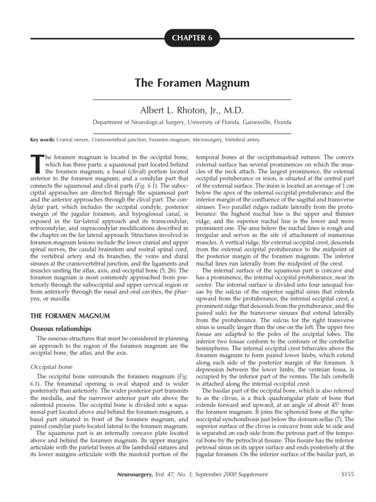 Foramen Magnum Anatomy and Approaches | PDF | Vertebra | Vertebral Column