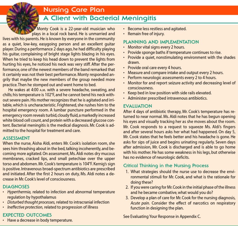 A Client With Bacterial Meningitis Nursing Care Plan Pdf