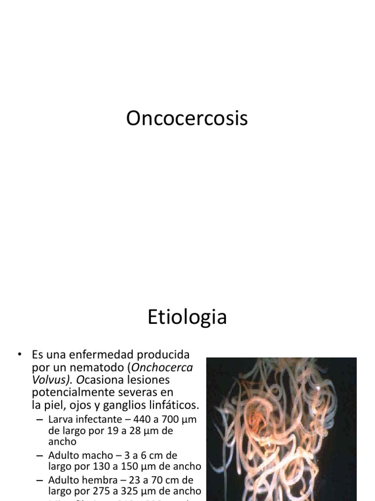 Oncocercosis | PDF | Microbiología | Rtt