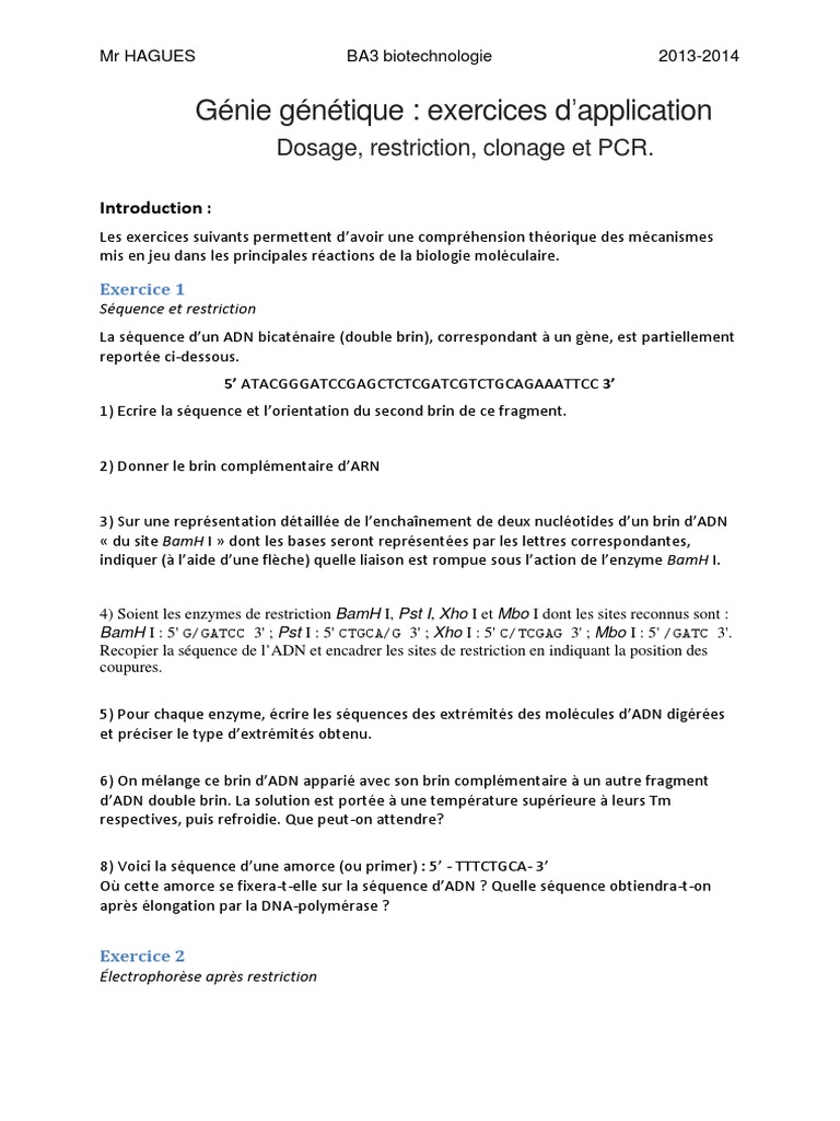 Exercices de génie génétique corrigés | PDF | Séquençage de l'ADN | ADN