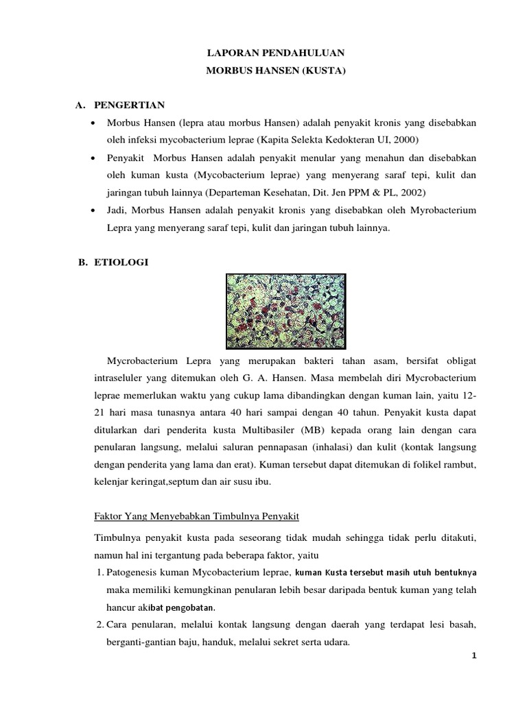 Morbus Hansen (Kusta): Patogenesis dan Manifestasi Klinis | PDF