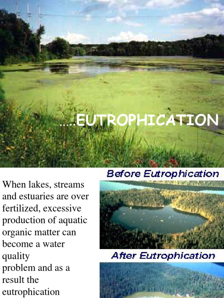 Eutrophication Before And After