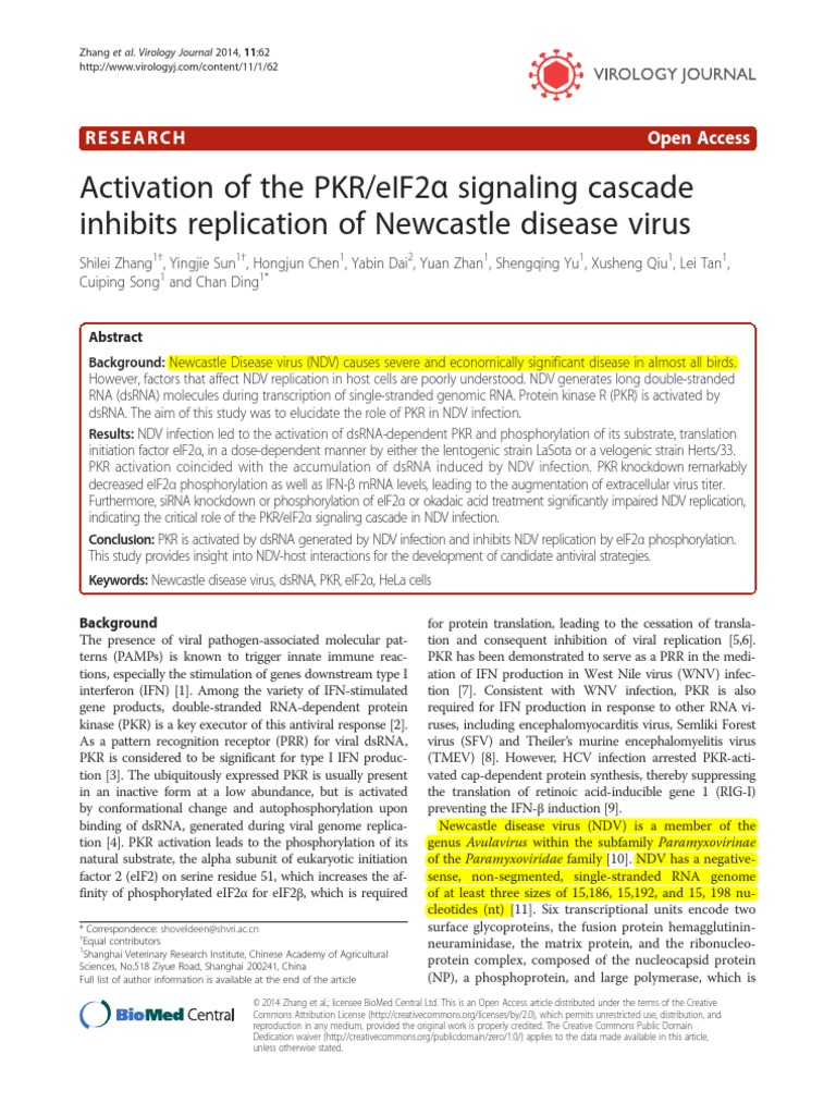Activation of the PKR/eIF2 α signaling cascade inhibits replication of ...