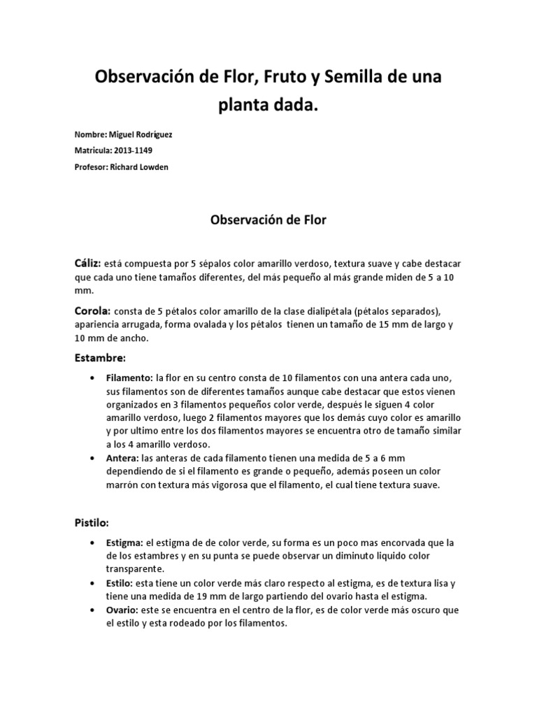 Observacion de Flor, Fruto y Semilla de Una Planta Dada | PDF | Flores ...