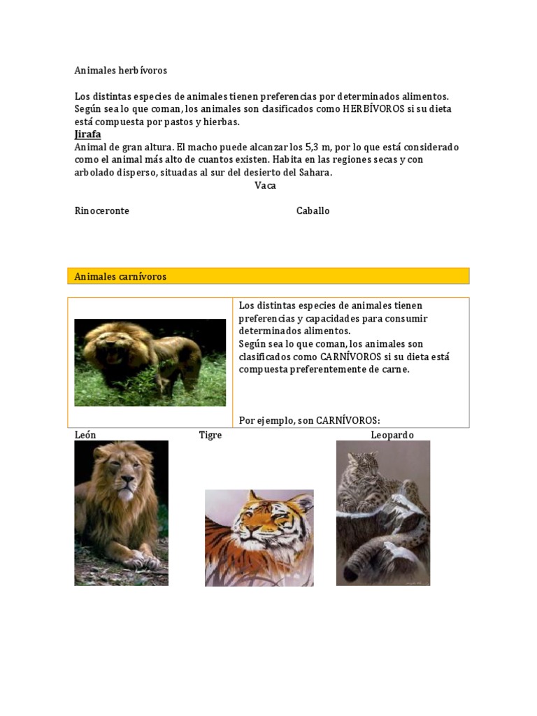 Animales Herbívoros | PDF | Pollo | Tortuga