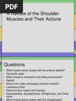 NASM Solutions Table Expanded (PDF, 40k) | PDF | Anatomical Terms Of ...