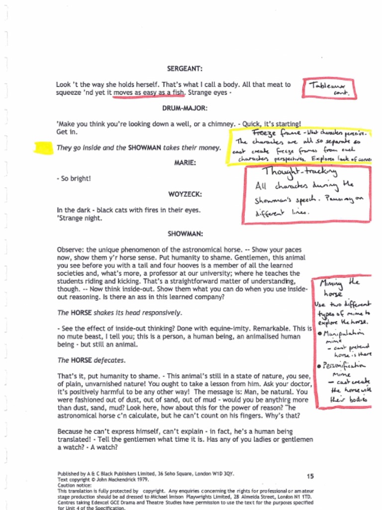 Woyzeck Annotated Script 2 | PDF | Foreign Language Studies
