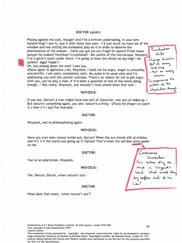 Woyzeck Annotated Script 3