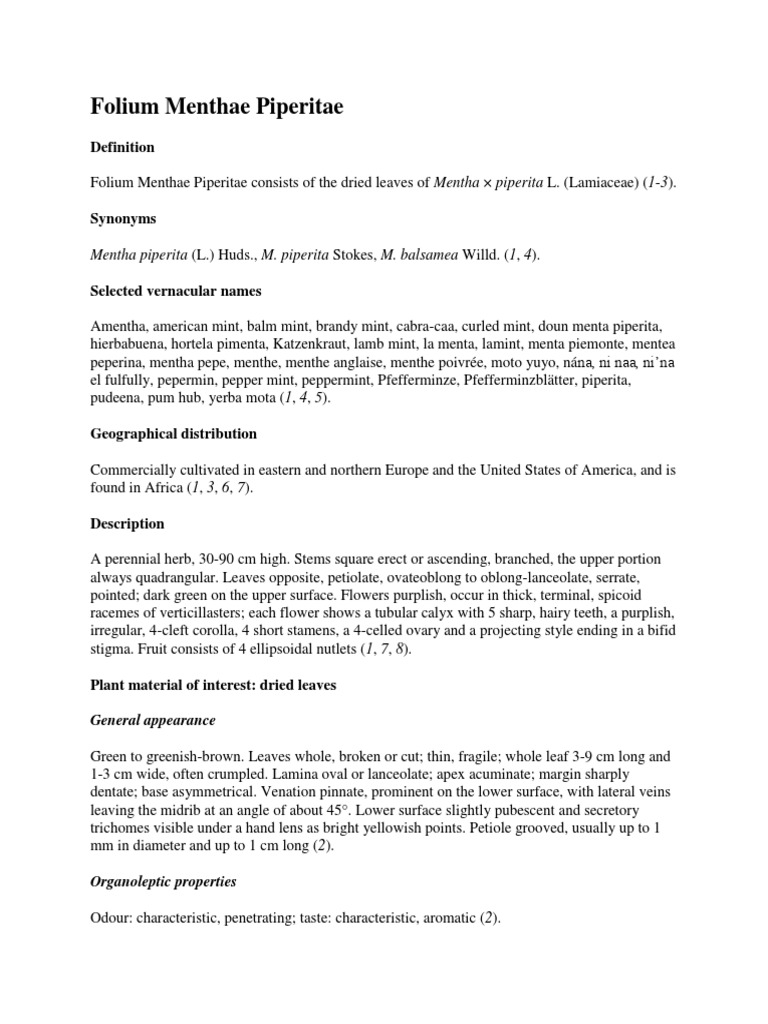 Folium Menthae Piperitae | PDF | Mentha | Biology