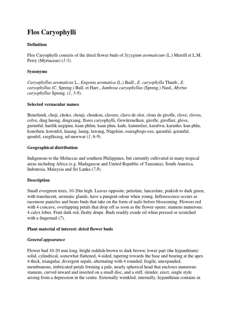 Flos Caryophylli | PDF | Clove | Herbalism