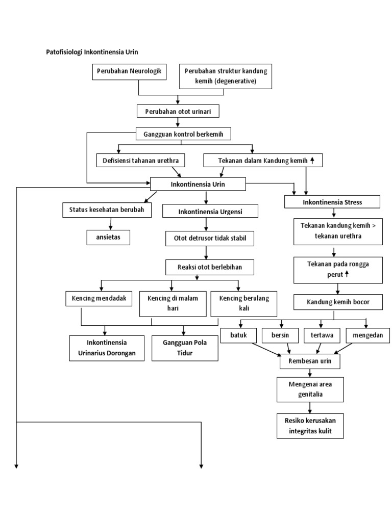 Patofisiologi Inkontinensia Urin pathway